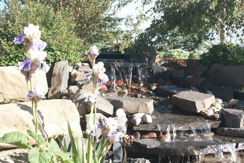 Landscape Design-Build - Landscape Plus