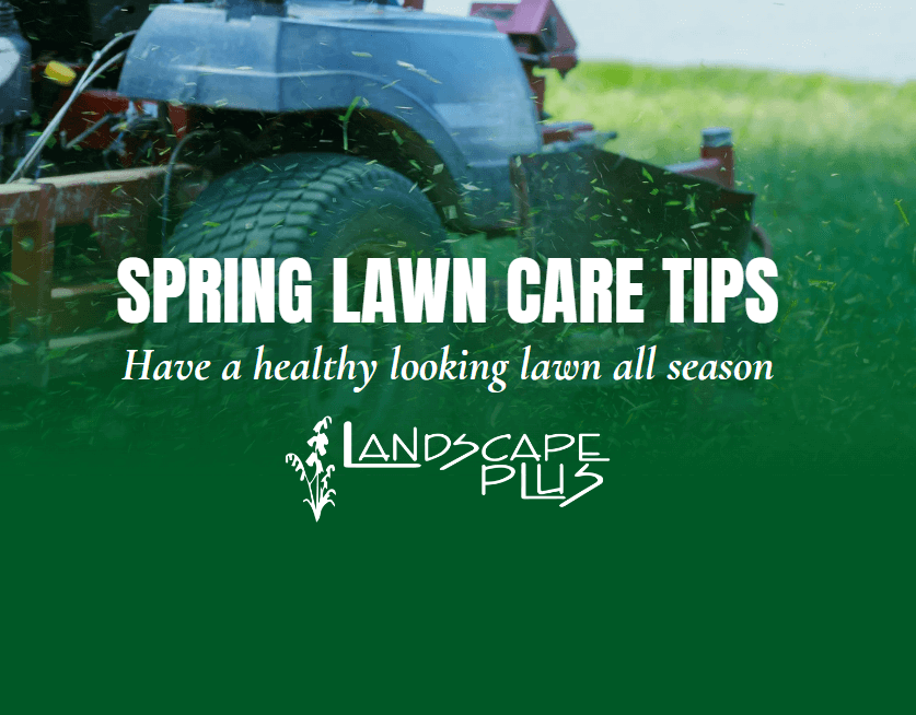 Lawn Care Tips for Spring - Landscape Plus